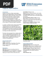 RHS Colour Charts Editions PDF | PDF | Color | Graphic Design