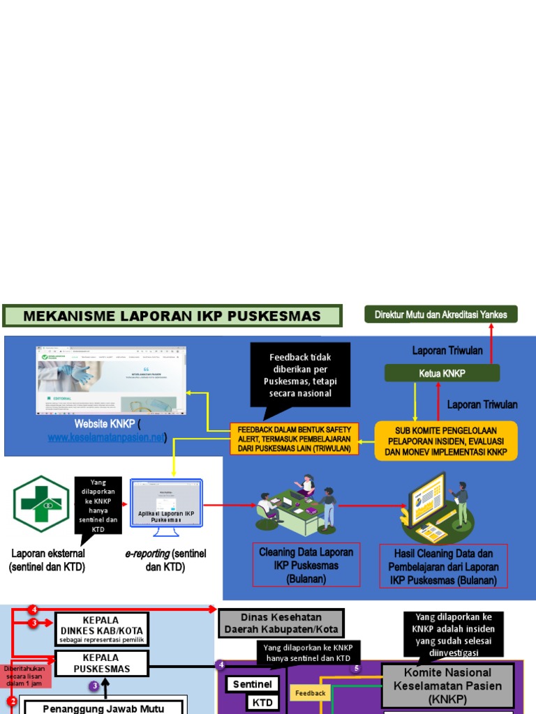 Alur Pelaporan Ikp | PDF