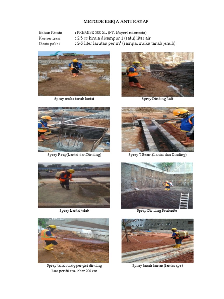 Metode Kerja Anti Rayap (Premise) | PDF