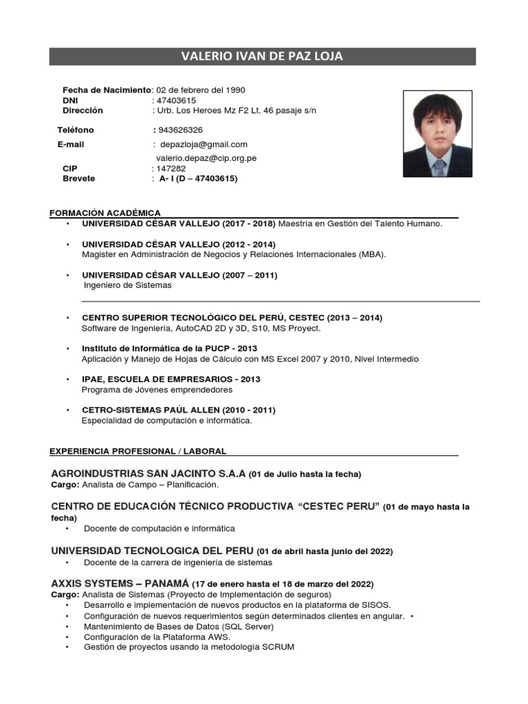 CV Simple | PDF | Informática | Mi sql