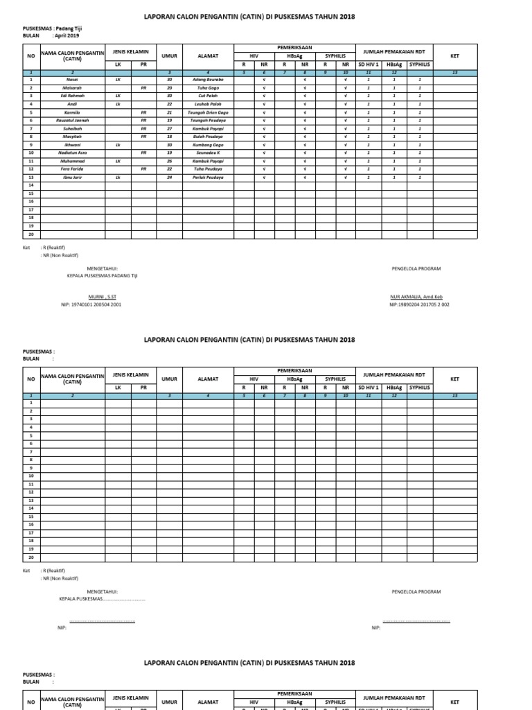 Form Catin Puskesmas 2019 | PDF