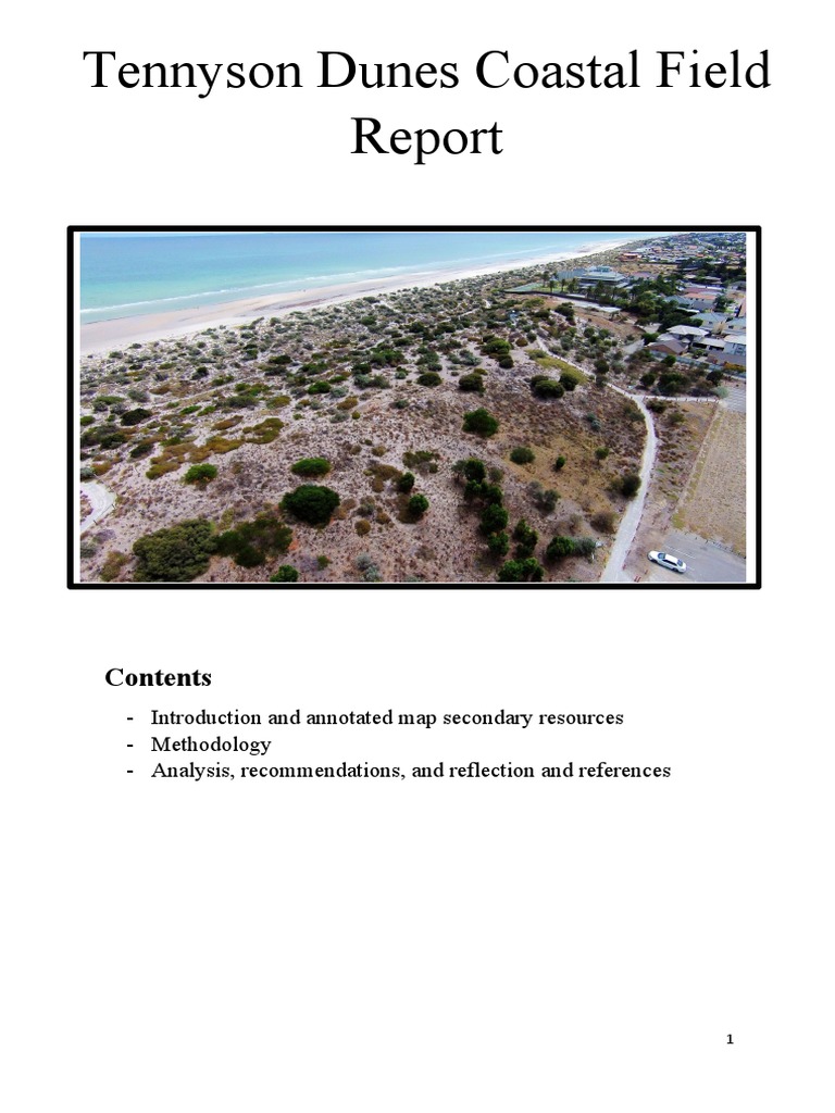Tennyson Dunes Field Report | PDF | Biodiversity | Dune
