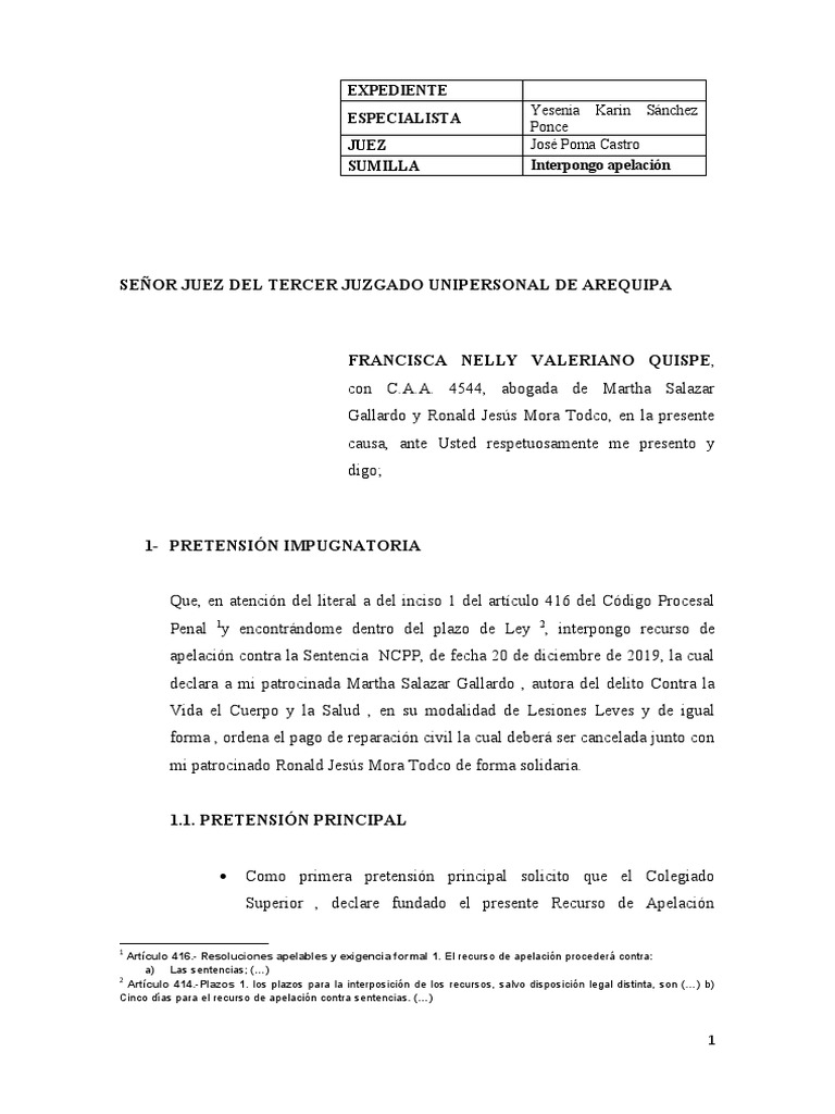 Modelo de Escrito de Apelacion de Sentencia Delito de Lesiones | PDF | Sentencia (ley) | Caso de ley