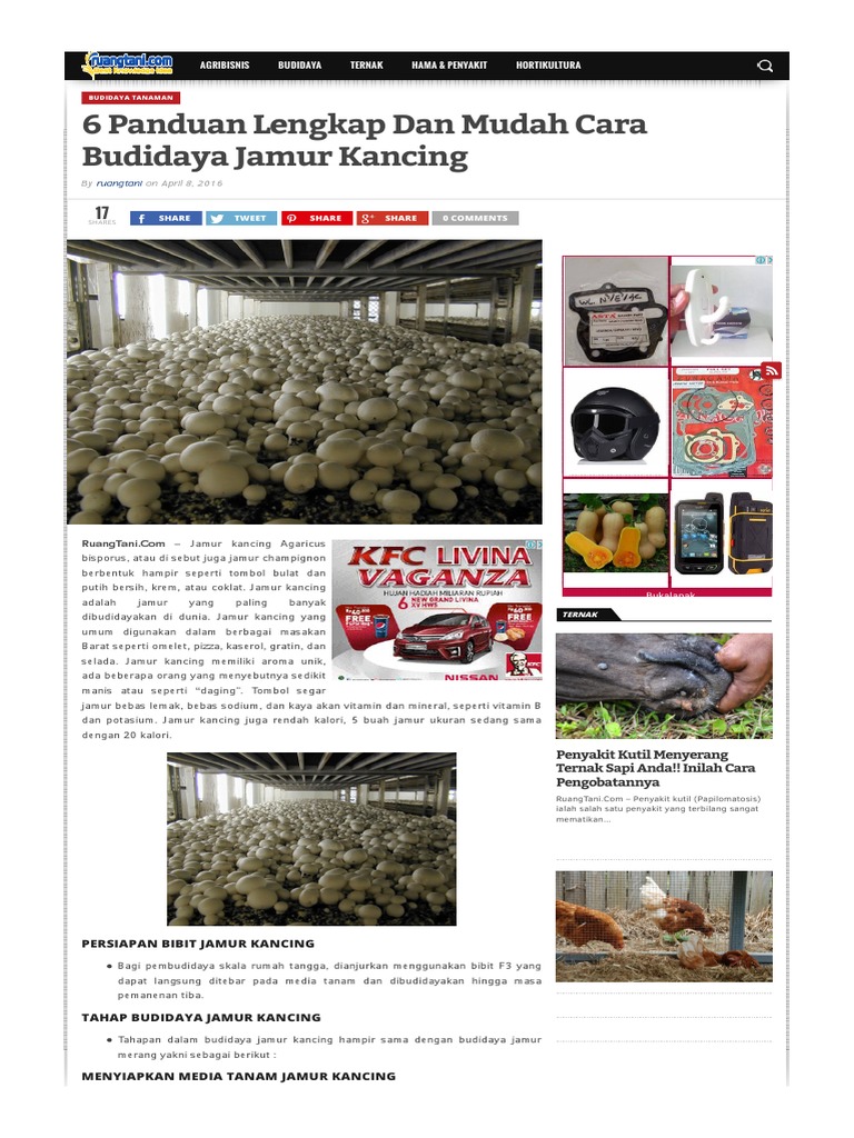 6 Panduan Lengkap Dan Mudah Cara Budidaya Jamur Kancing | PDF