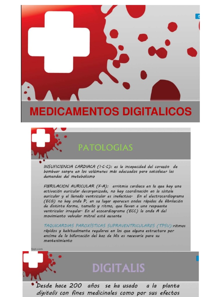 DIGITALICOS Semana 3 | PDF