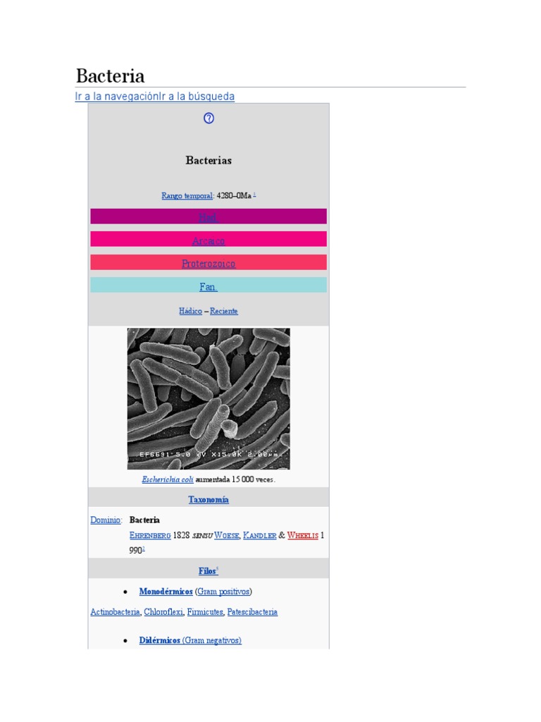 Bacteria Escryb | PDF | Las bacterias | Archaea