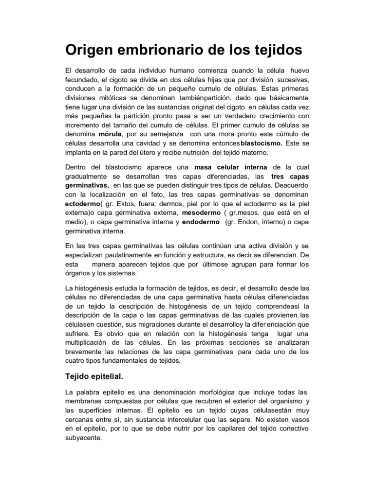 Origen embrionario de los tejidos | PDF | Epitelio | Tejido conectivo