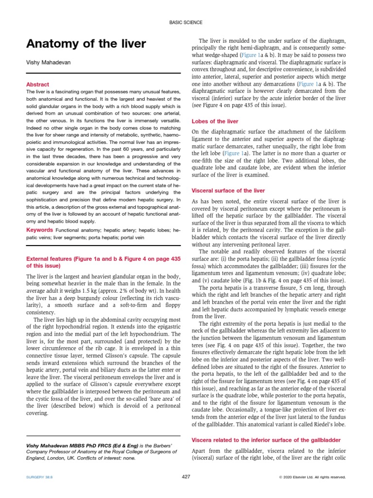 Anatomia Ficatului Articol | PDF | Liver | Vein