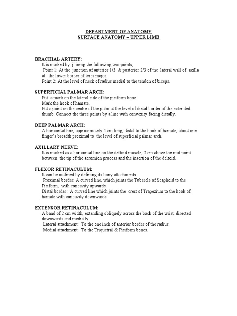Surface Marking Upper Limb | PDF