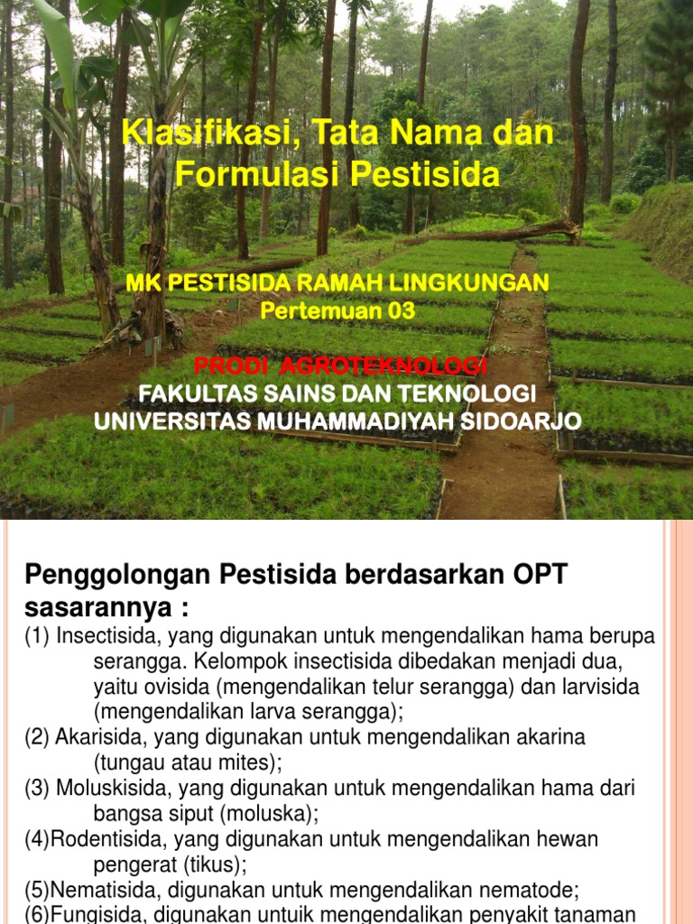 PRL-P03 - Tatanama PRL | PDF