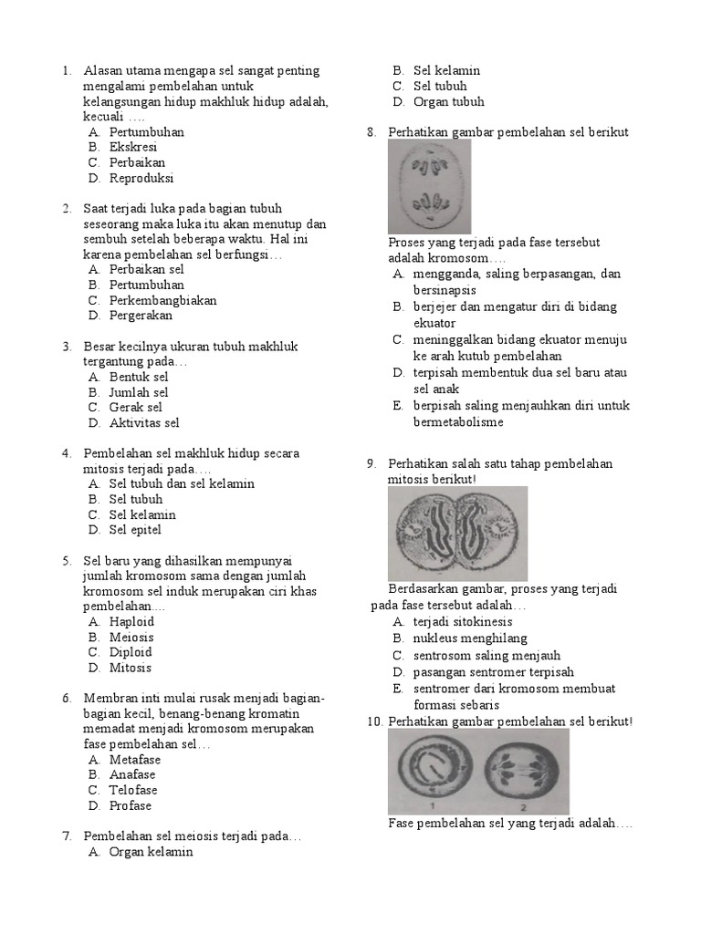 Soal Mitosis Meiosis | PDF