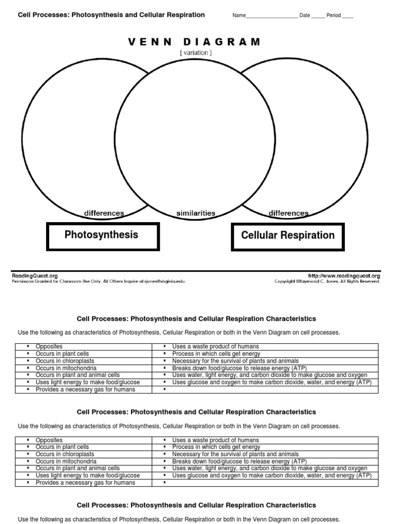 Photosynthesis And Cellular Respiration Venn Diagram