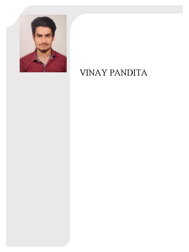 Vinay Resume | PDF | Engineering