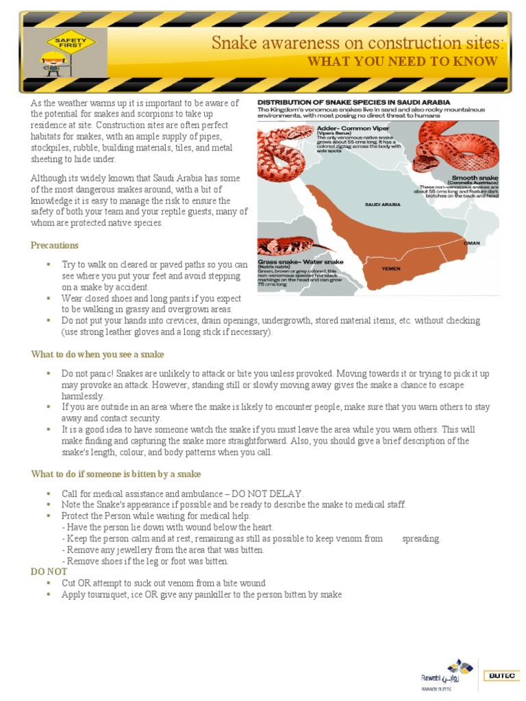 Snake Awareness Toolbox Talk | PDF | Snake