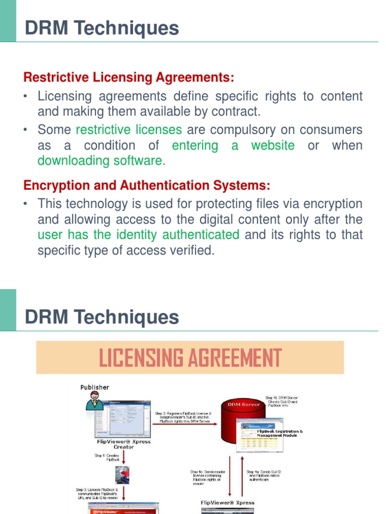 Understand DRM Technique | PDF