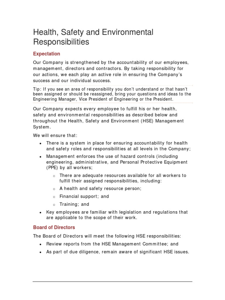 HSE Roles and Responsibilities Overview | PDF | Occupational Safety And ...