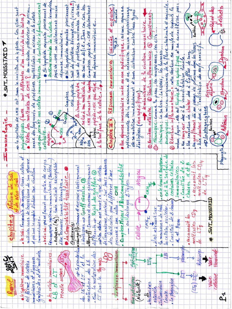 Résumé de L'immunologie 2BAC SVT MOUSSTAID | PDF