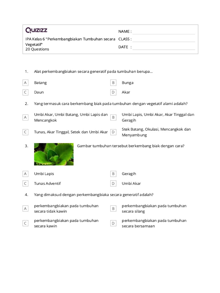 IPA Kelas 6 - Perkembangbiakan Tumbuhan Secara Vegetatif | PDF