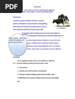 Animal Science Terms | PDF | Chicken | Cattle