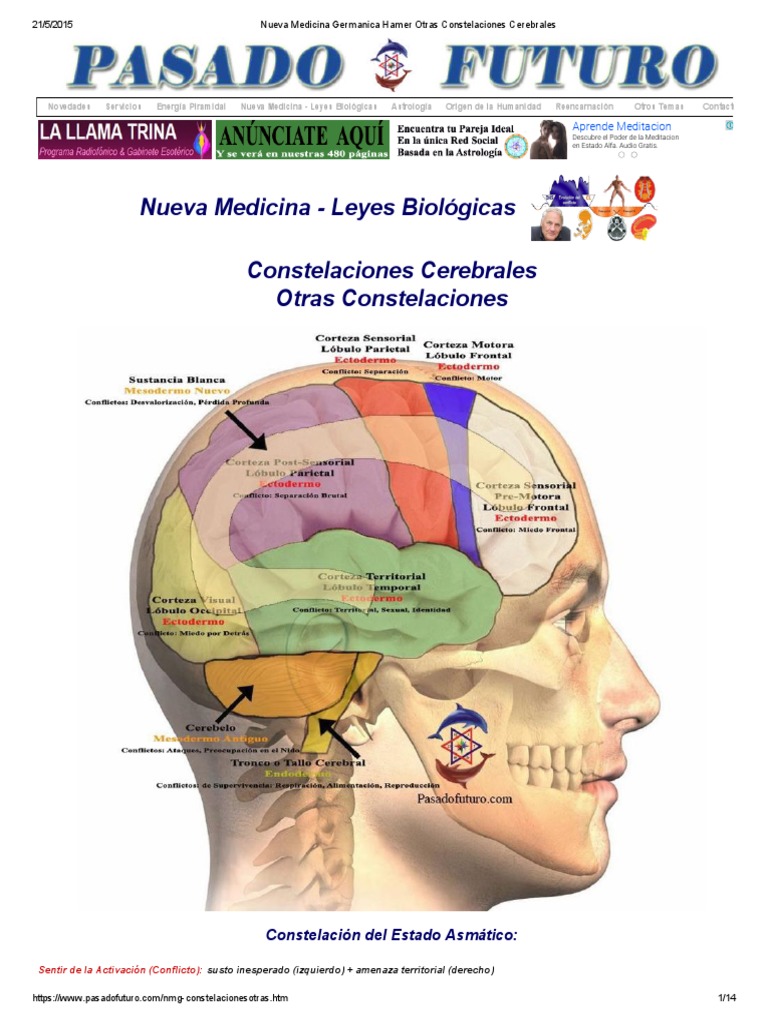 Nueva Medicina Germanica - DR Hamer - Otras Constelaciones Cerebrales - NMG 7.pdf-Free | PDF ...