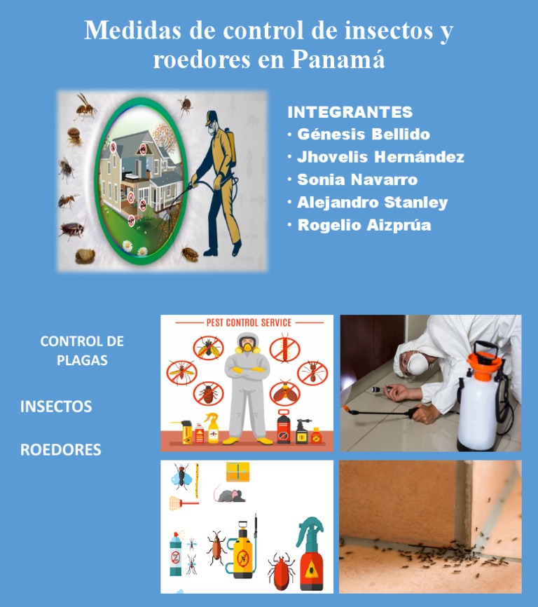 Medidas de Control de Insectos y Roedores en Panamá | PDF | Salud y ...