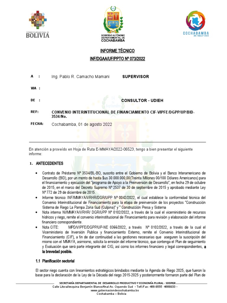 Modelo Informe Tecnico | PDF | Presupuesto | Riego