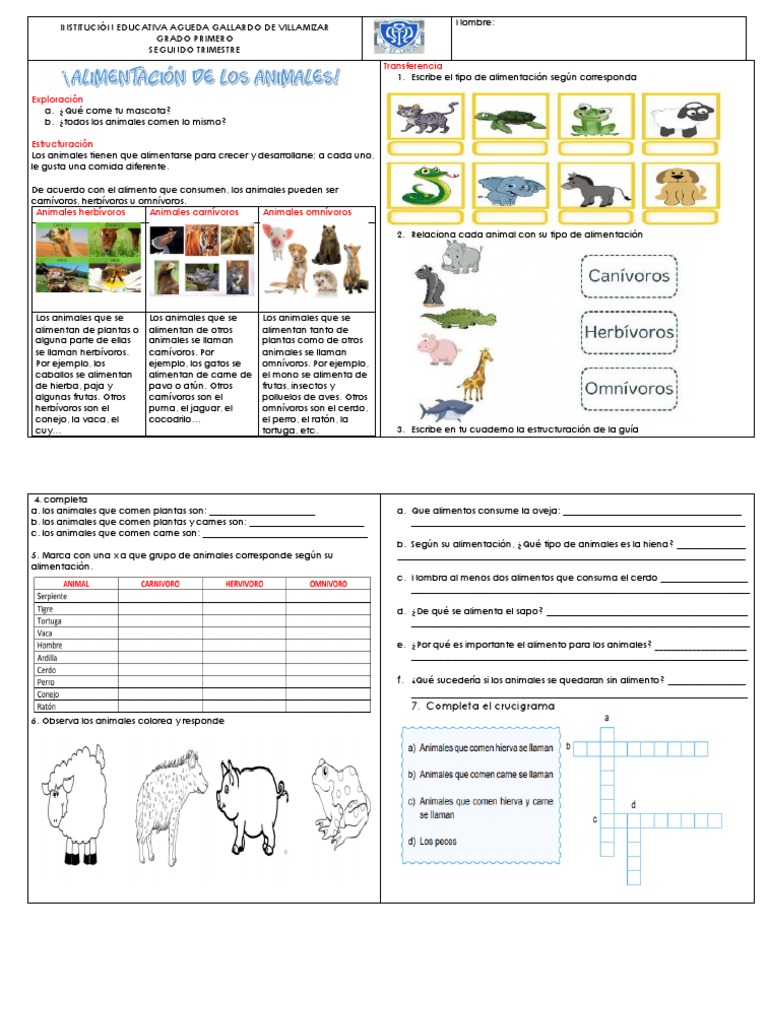 Alimentción de Los Animales 1° | PDF | Comida y bebida | Animales y humanos