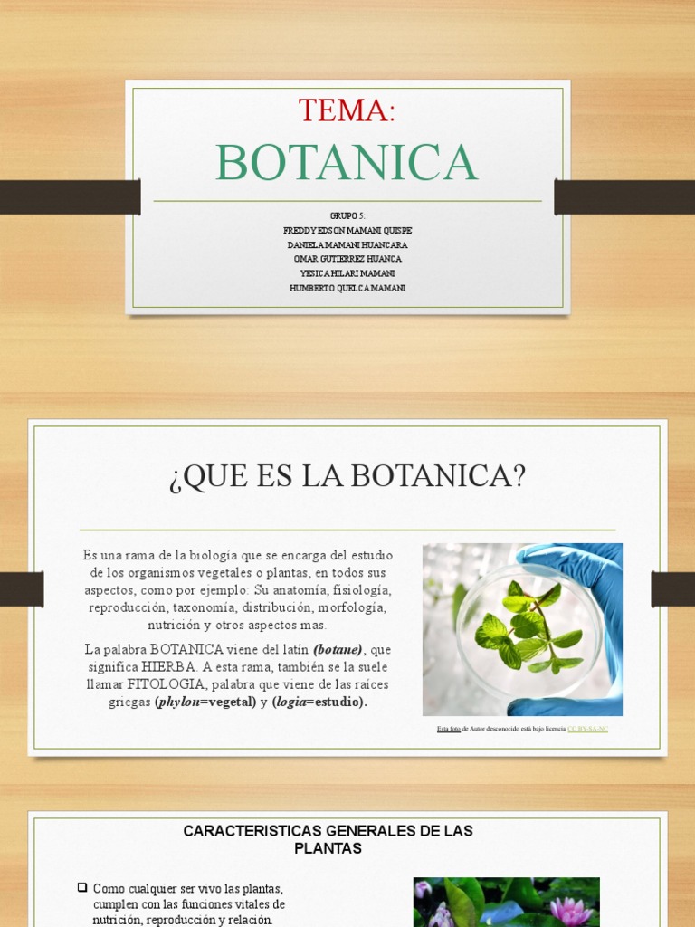 BOTANICA | PDF | Plantas | Fotosíntesis