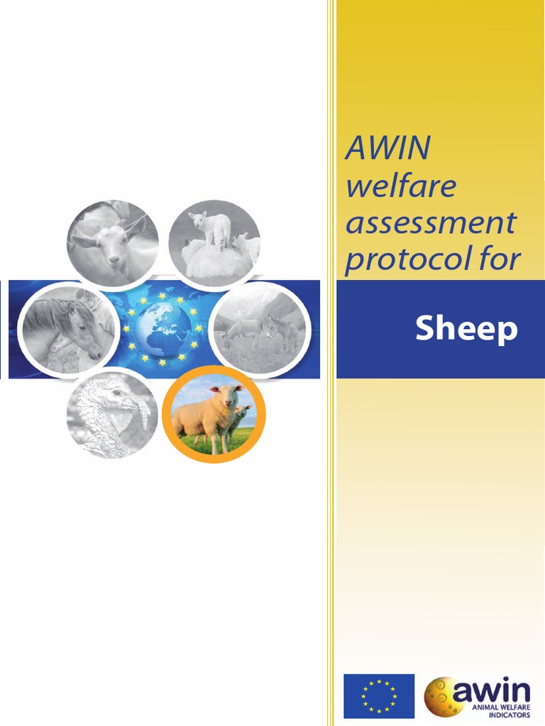 Welfare Assessment Protocol For: Sheep | PDF | Animal Welfare | Sheep