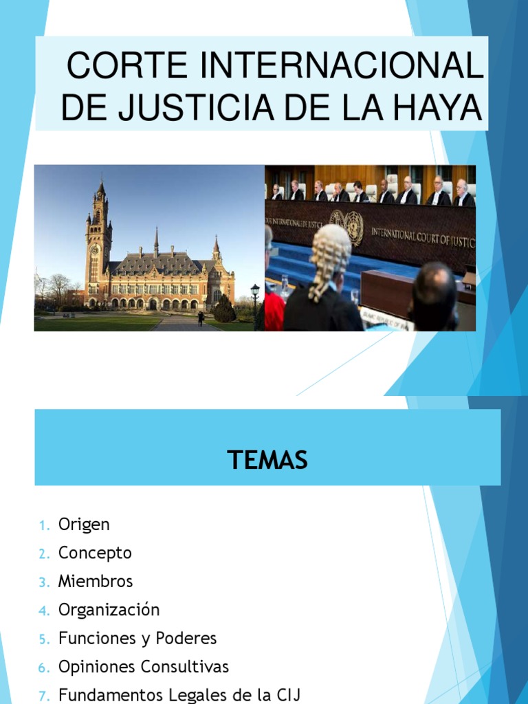 Corte Internacional de Justicia | PDF | Principios éticos | Judicaturas