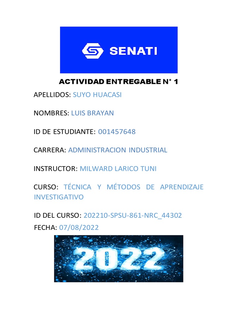 ACTIVIDAD ENTREGABLE N1 Tecnica | PDF | Business | Diseño