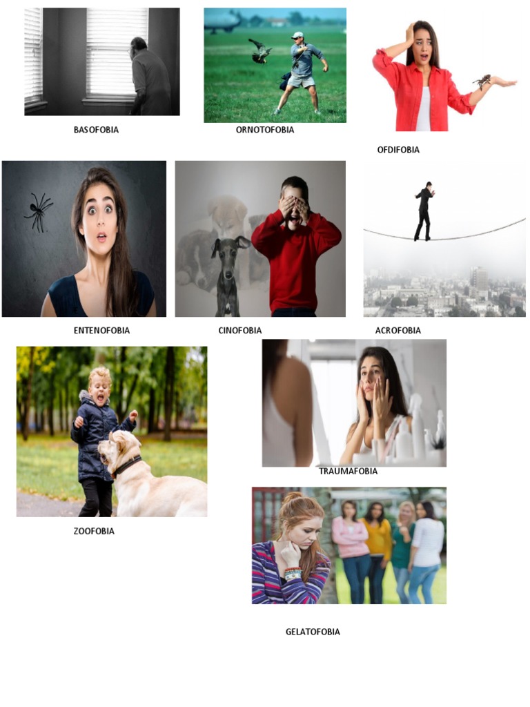 BASOFOBIAORNOTOFOBIA | PDF | Ciencia y matemática