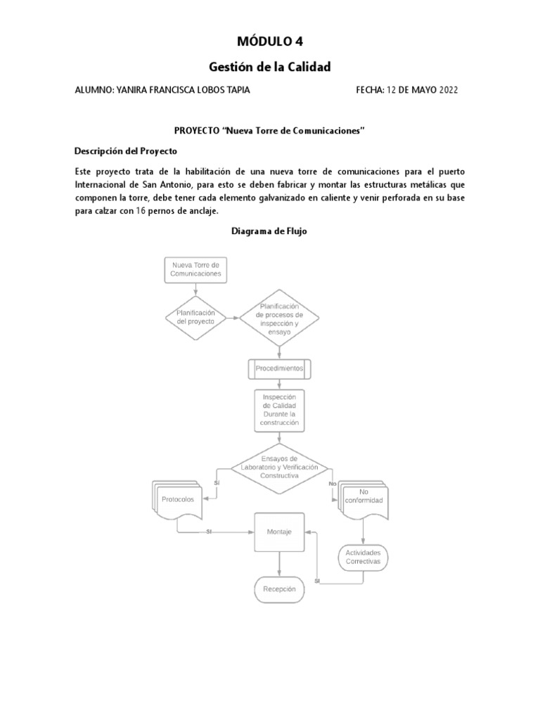 Lobos - Yanira - Tarea Modulo 4 | PDF | Planificación