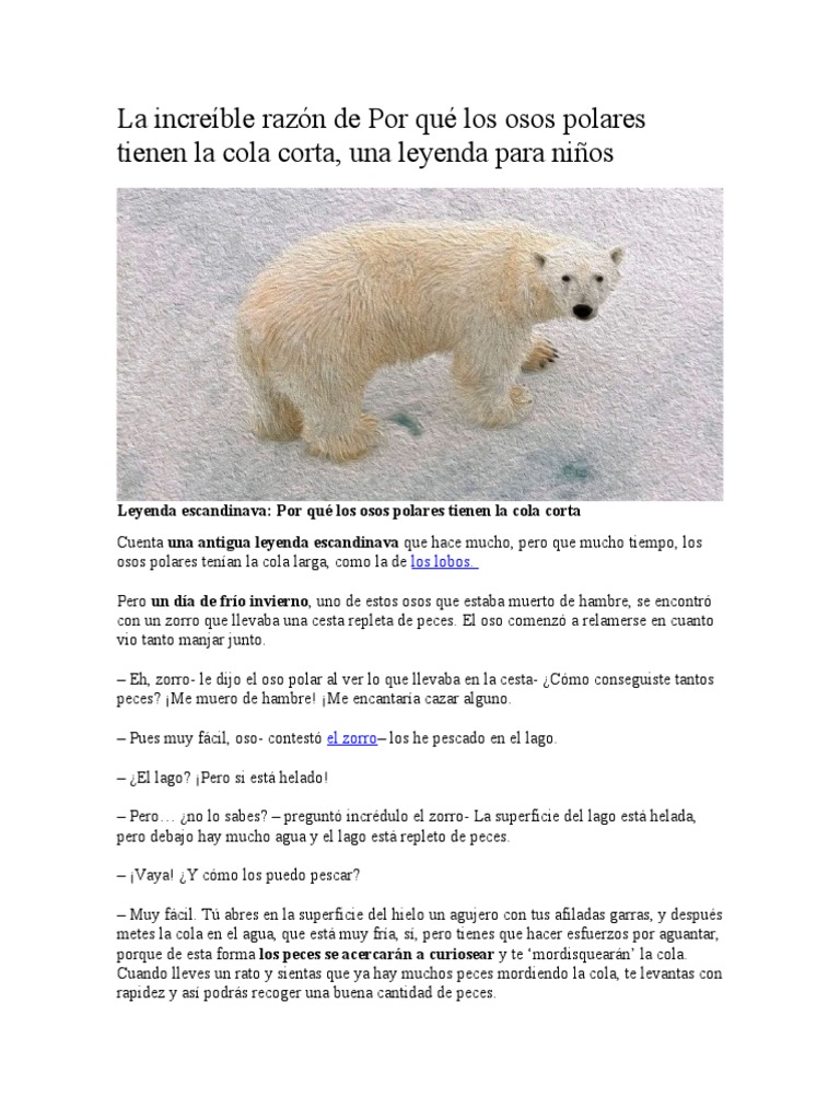 La Increíble Razón de Por Qué Los Osos Polares Tienen La Cola Corta ...