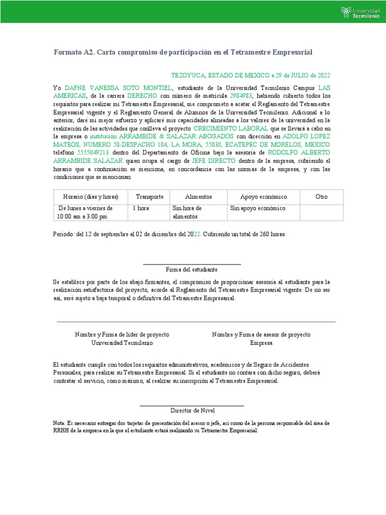 Formato A2 | PDF