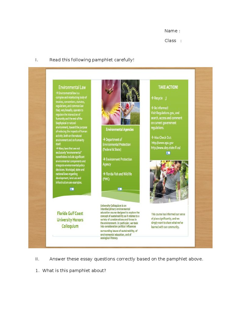 Reading Pamphlet | PDF