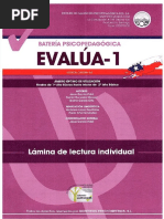 Cuadernillo Evalua 8 Version 4.0 | PDF