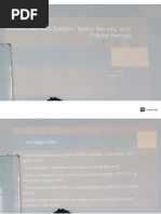 2023 UACE Subsidiary ICT Paper 2 | PDF