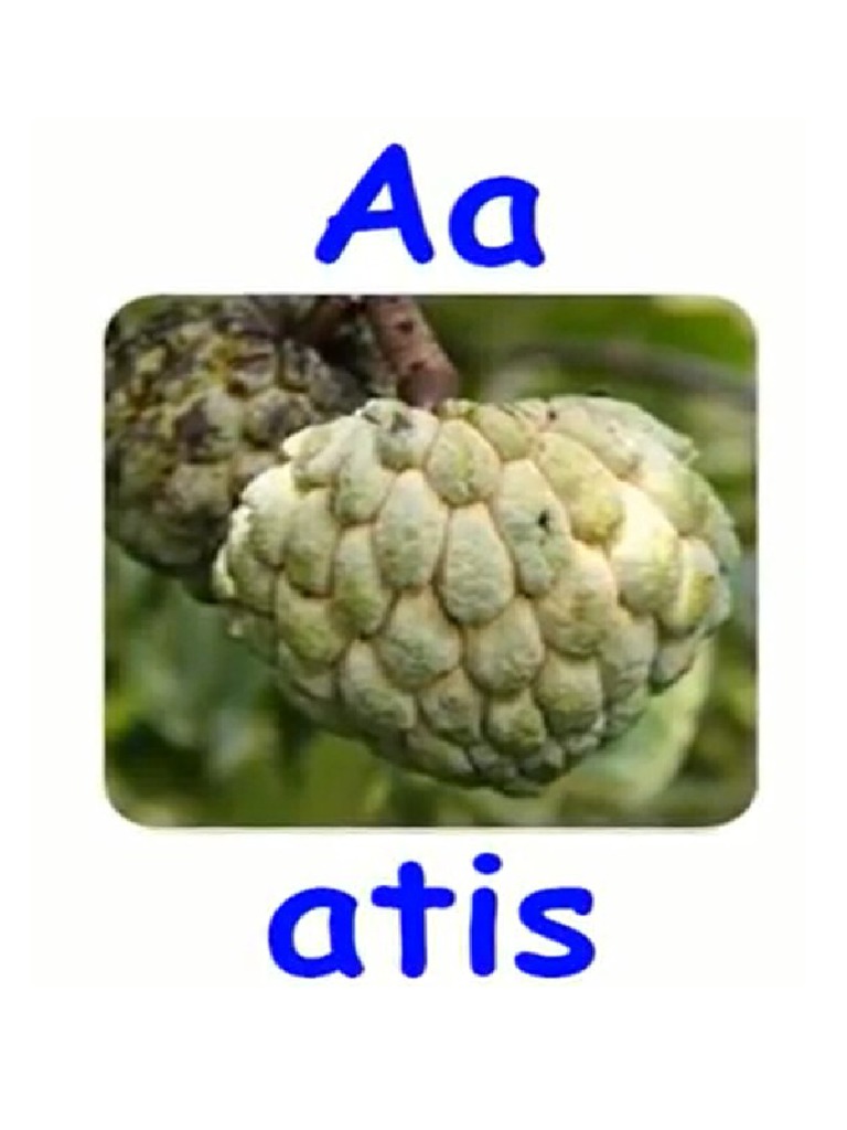 Bisaya Alphabet | PDF