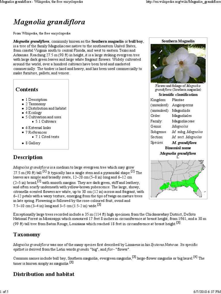 Magnolia Grandiflora - Wiki.. | PDF | Horticulture | Botany