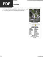 Indian Republic HSD Yard Design Is Code | PDF