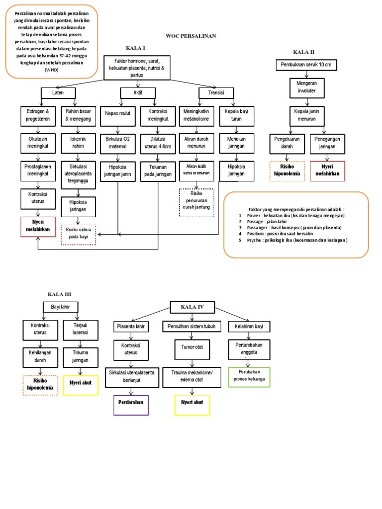 Woc Persalinan Atau Intranatal Egi Fix | PDF