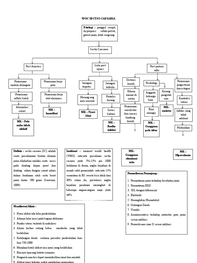 Woc Sectio Caesaria | PDF