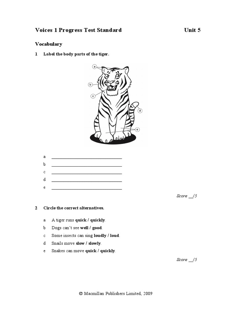Voices 1 Progress Test Standard Unit 5: Vocabulary | PDF