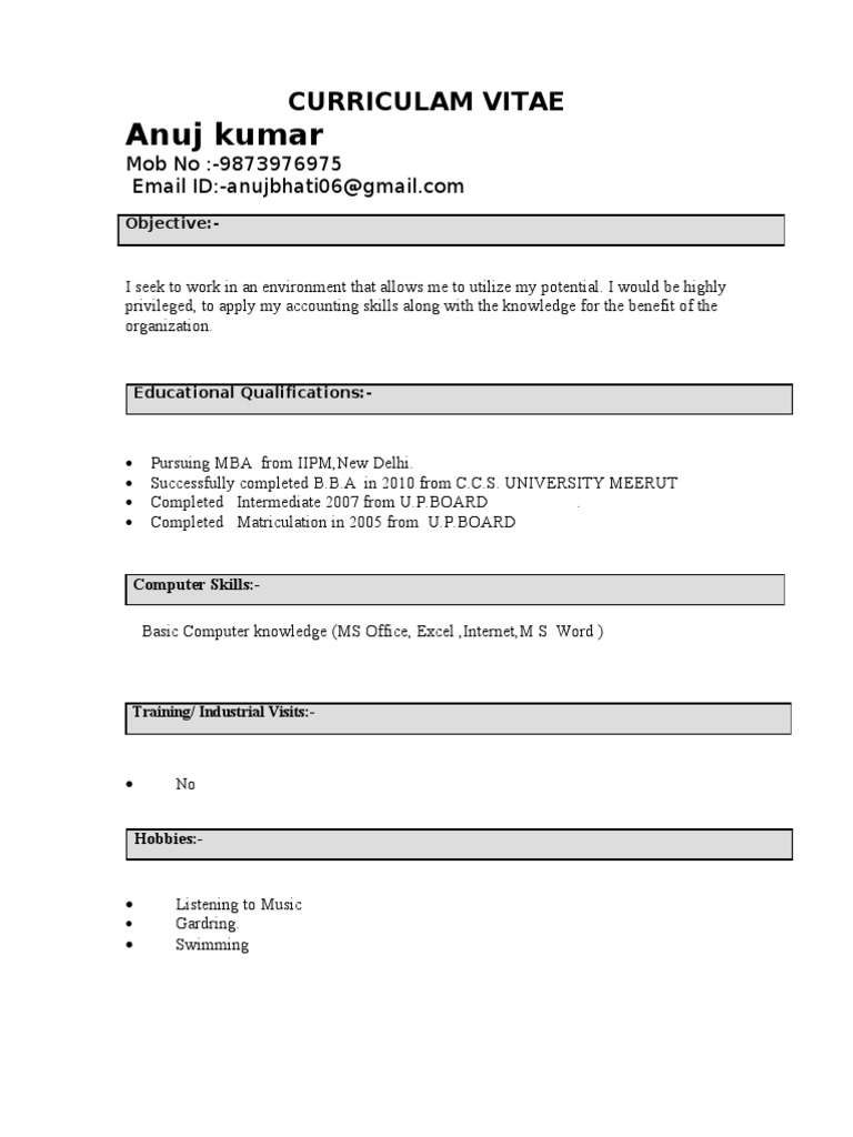 Anuj Kumar's Professional CV | PDF