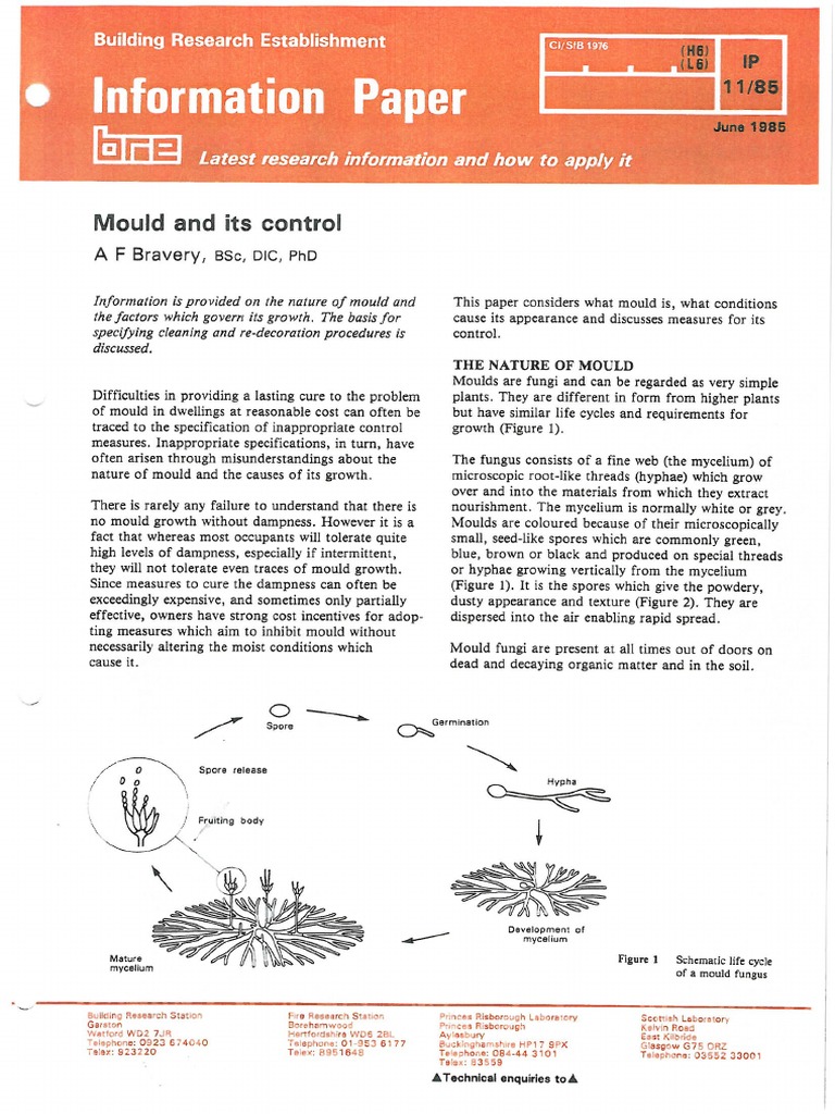 BRE Information Paper - Mould and Its Control | PDF