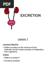 ? Excretion - Grade 11 Life Sciences | PDF