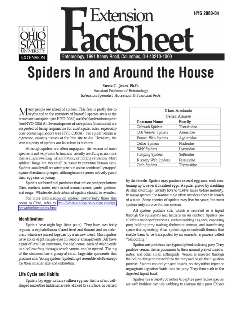 Spiders in Around House | PDF | Spider | Spider Web