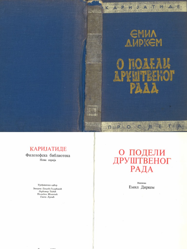 Emil Dirkem - o Podeli Drustvenog Rada PDF | PDF