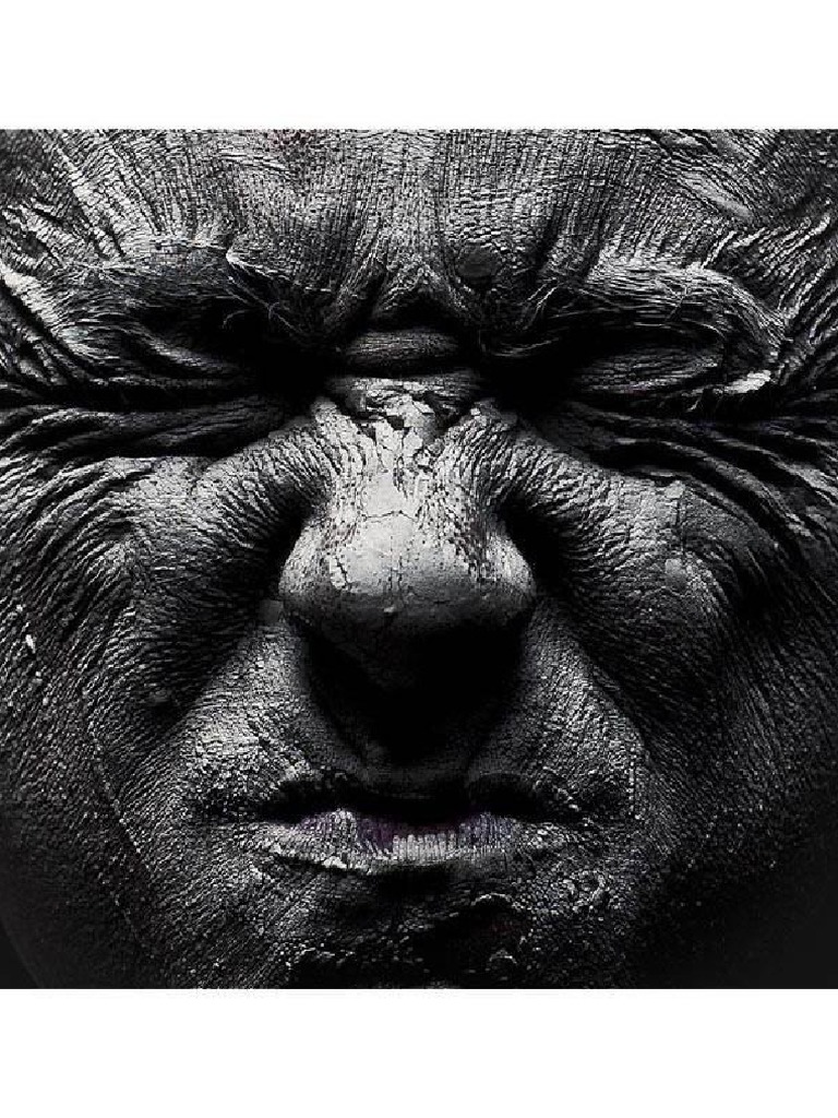 The Flinch - Julien Smith | PDF | Anxiety | Fight Or Flight Response